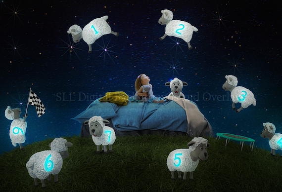 Counting Sheep Animation
