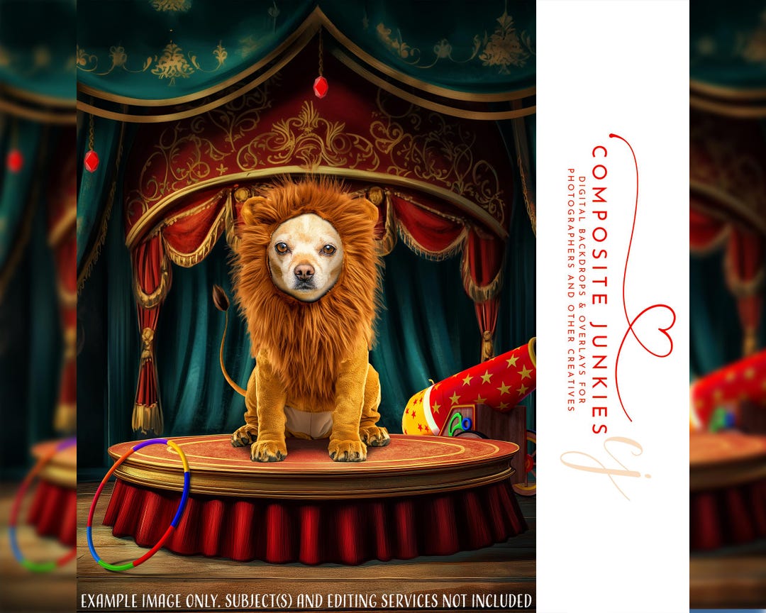 Circus Pet Photography Backdrop, Lion Costume Overlay (digital Download ...