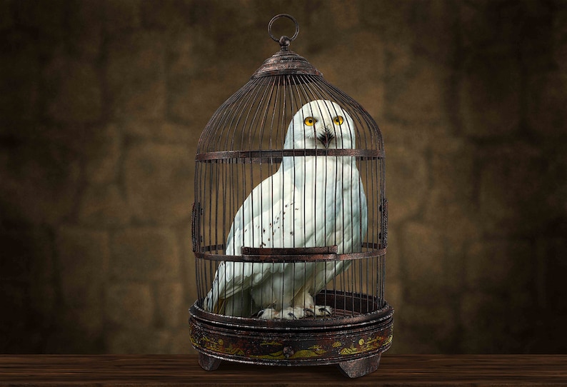 Photoshop overlay digital overlay digital cage cage digital overlay ...