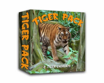 Tiger Tigers PNG Bundle Bundles Wild Big Cats Animal Zoo Digital ...