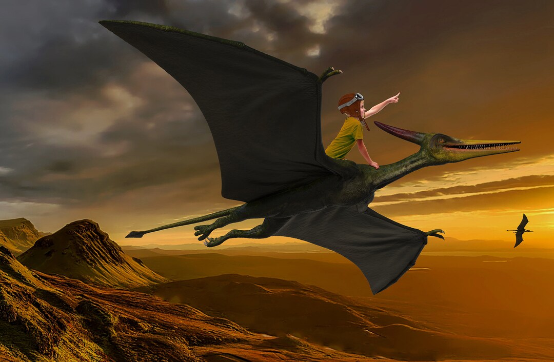 Pterodactyle Flying Digital Backdrop {PREMIUM} - Etsy