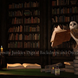 Wizard Digital Backdrop Background - Library Digital Backdrop - Magical ...