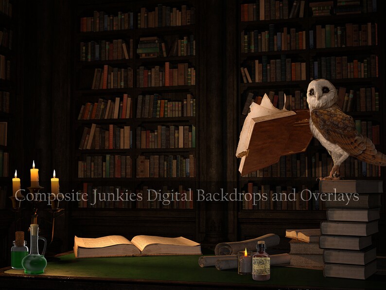 Wizard Digital Backdrop Background Library Digital Backdrop - Etsy