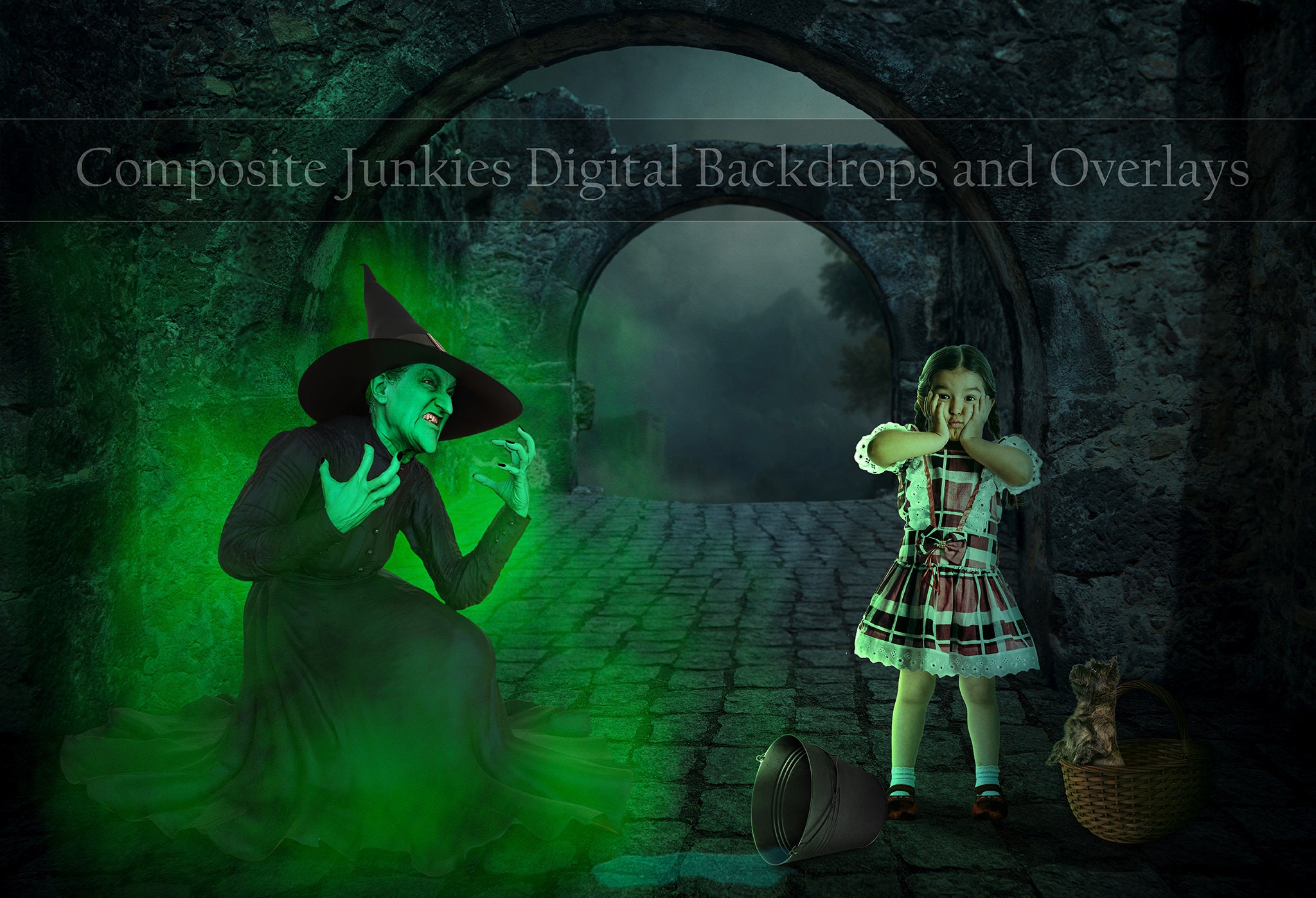 The Wonderful Wizard of Oz - Wicked Witch Digital Backdrop - Magic ...