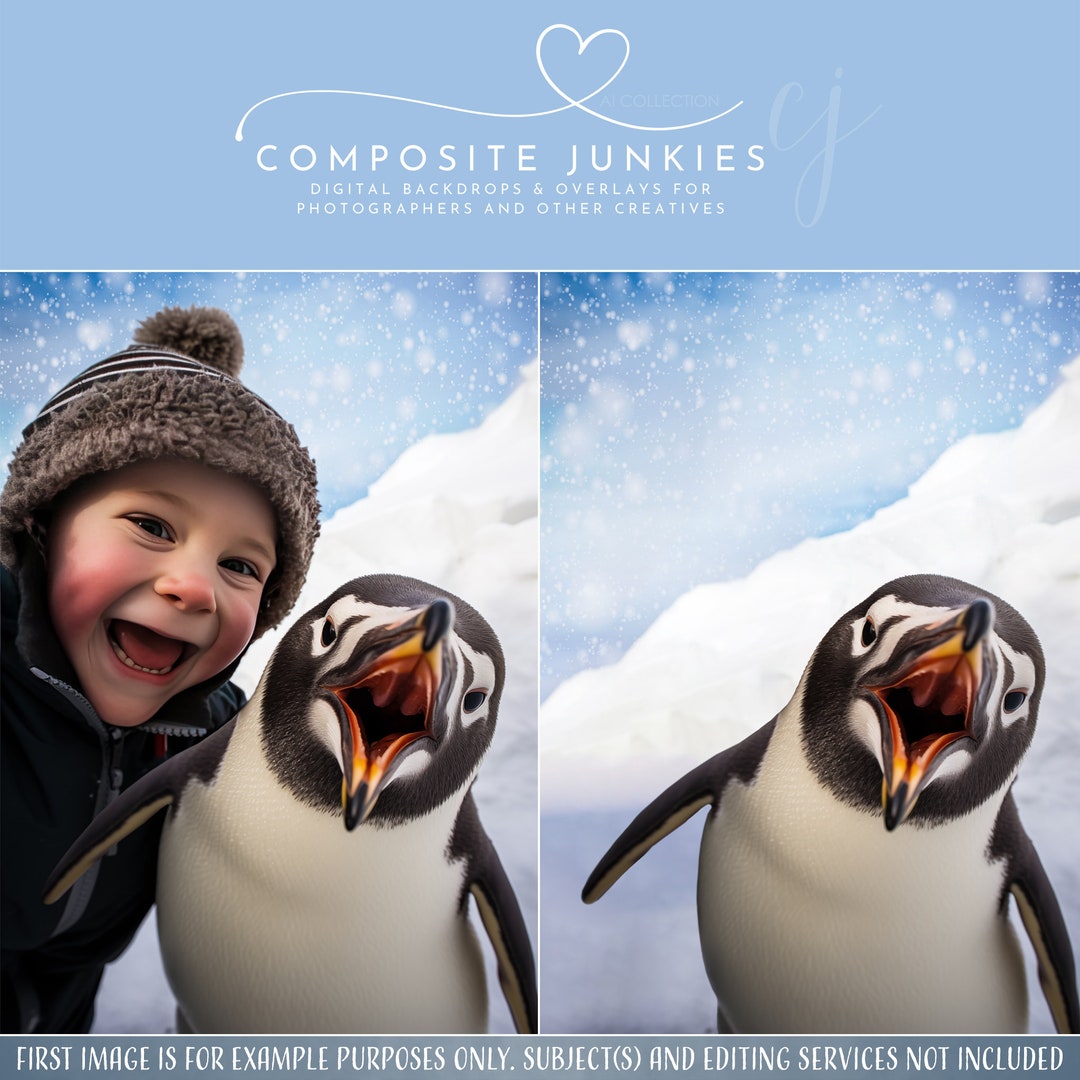 Adorable Penguin Selfie Digital Backdrop for Photography Composites ...