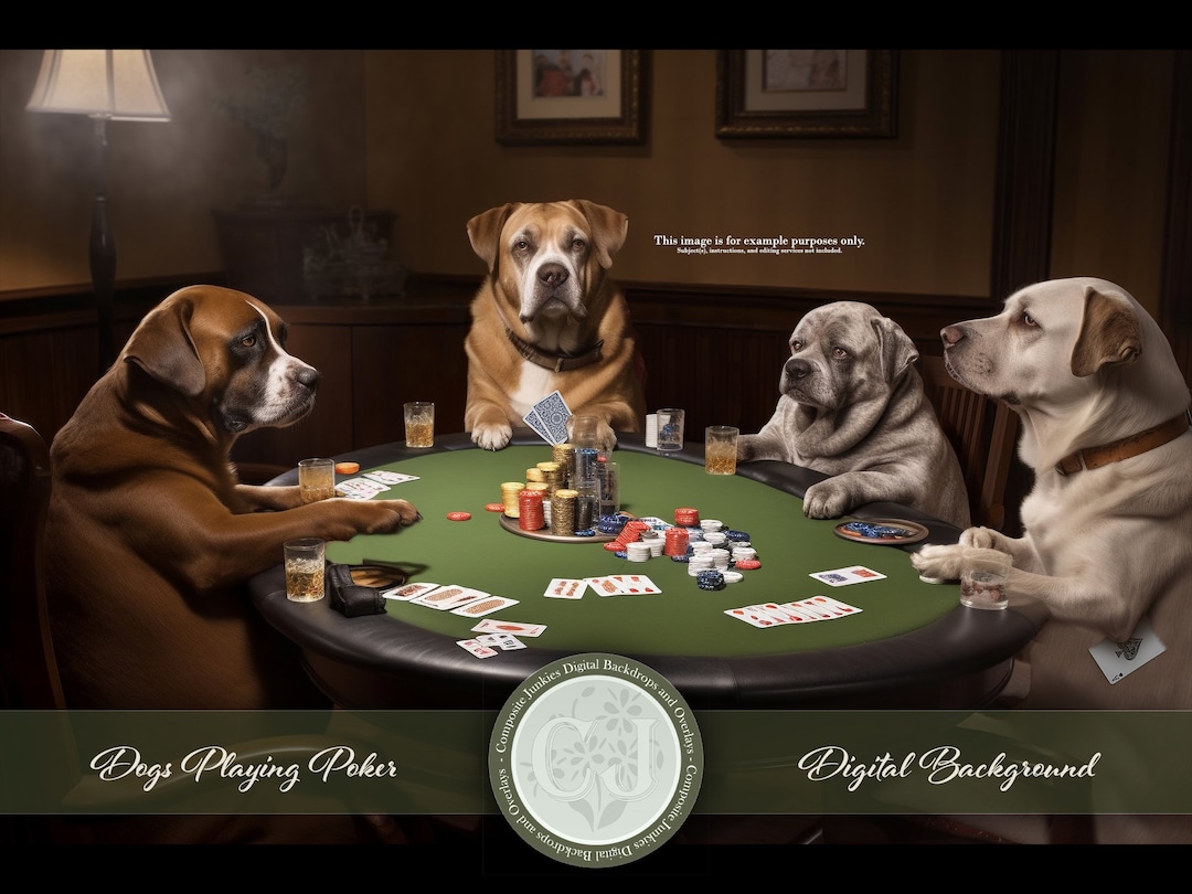 Funny Dogs Playing Poker Digital Background | Humorous Digital Backdrop ...