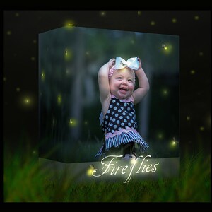 Firefly Overlays ~ Lightning Bug Overlays {PREMIUM} - Etsy