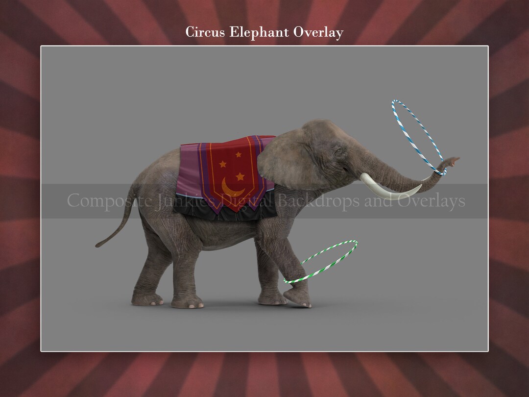 Circus Elephant Overlay for Composite Photos, Circus Clip Art, Digital ...