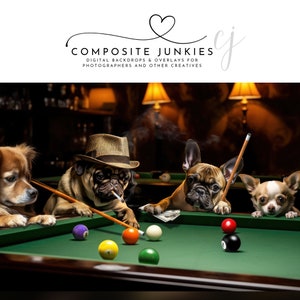 Funny Dogs Playing Pool Digital Background | Humorous Digital Backdrop ...
