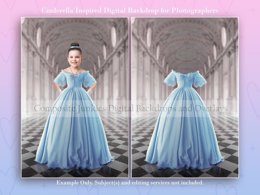 Cinderella Inspired Digital Backdrop Background for Photographers ...