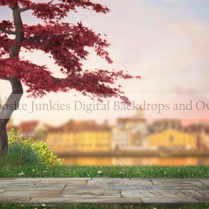 Park With Sidewalk Digital Backdrop for Composite Imagery - Digital ...