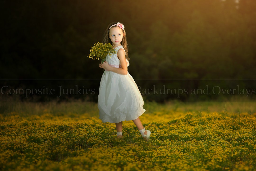 Spring Garden Digital Background | Field of Flowers Digital Backdrop ...