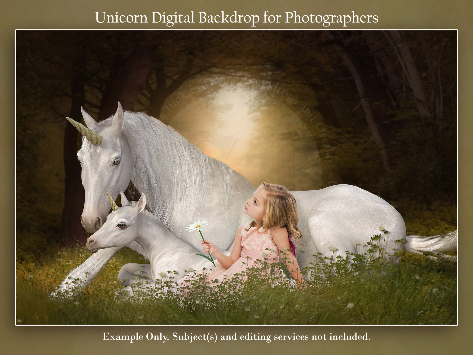 Mad Hatter Holding Picture Fame Digital Backdrop for Photo ...