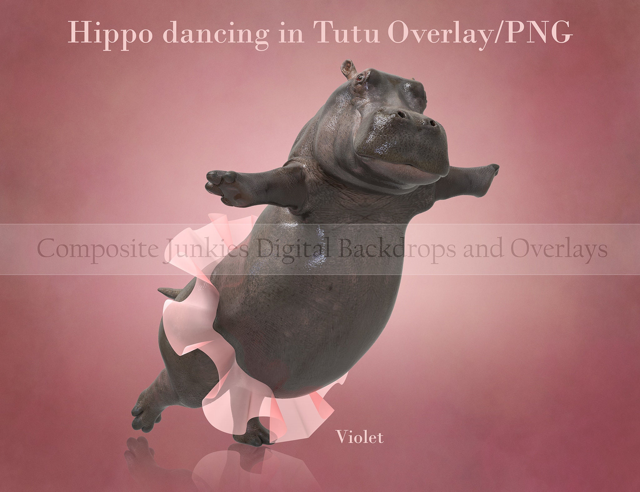 Hippo Dancing in Tutu Overlay PNG Image Overlay Animal - Etsy