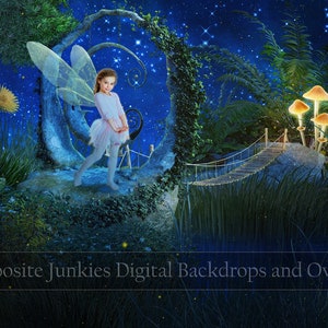 Fairy Digital Backdrop - Nighttime Fairy Background - Pixie Backdrop ...