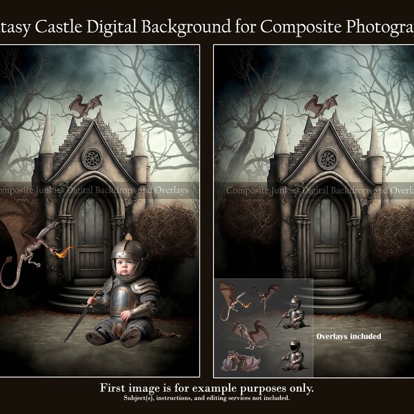 Wood Castle Backdrop - Etsy