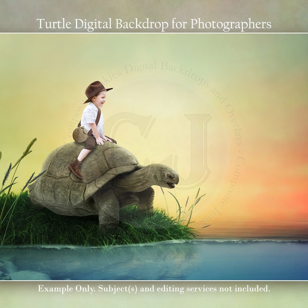 Swamp Backdrop - Etsy