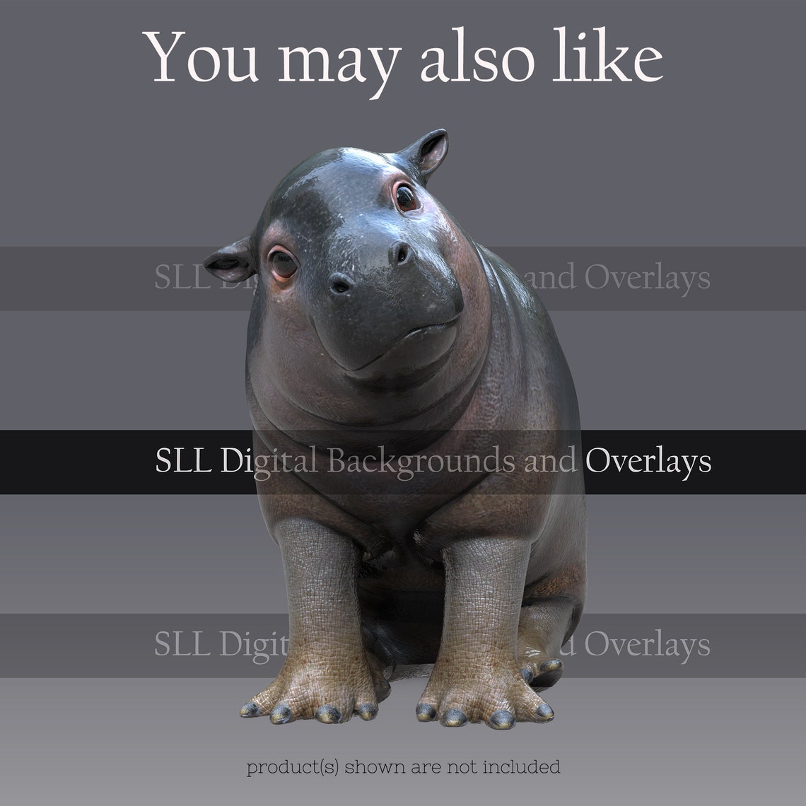 Genie Digital Overlay for Photography Composites, Genie Lamp Clip Art ...