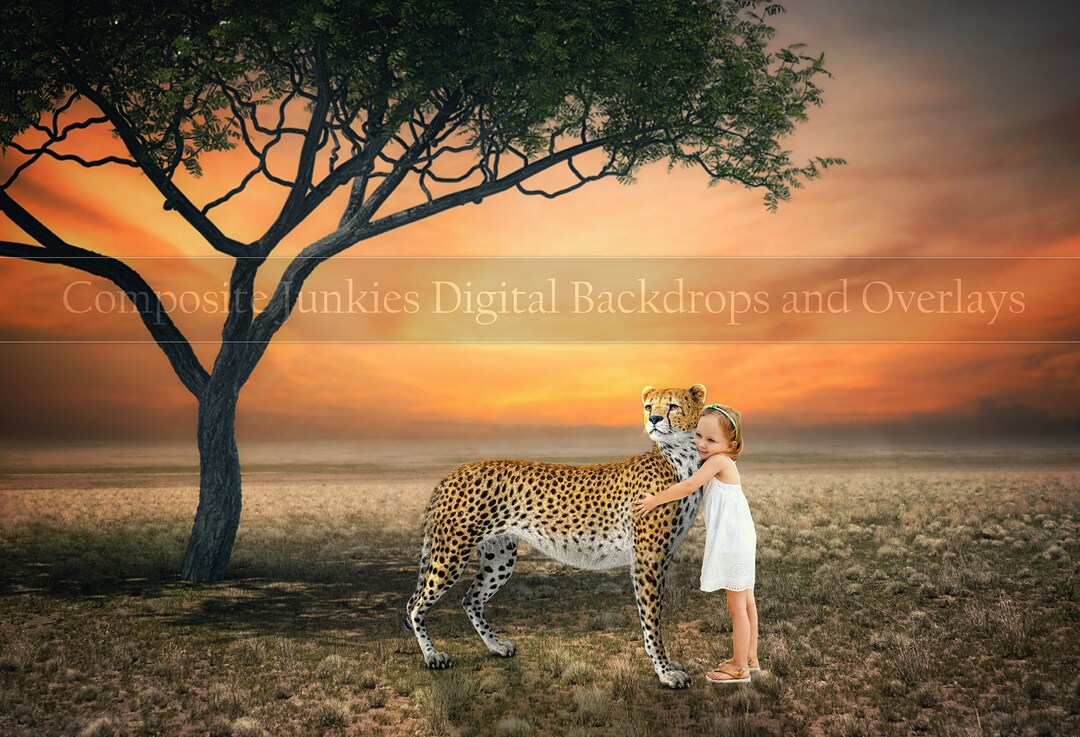 Cheetah Digital Backdrop Background | Big Cats Digital Backdrop ...