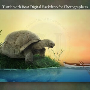 Turtle Digital Backdrop, Turtle Background, Instant Download ...