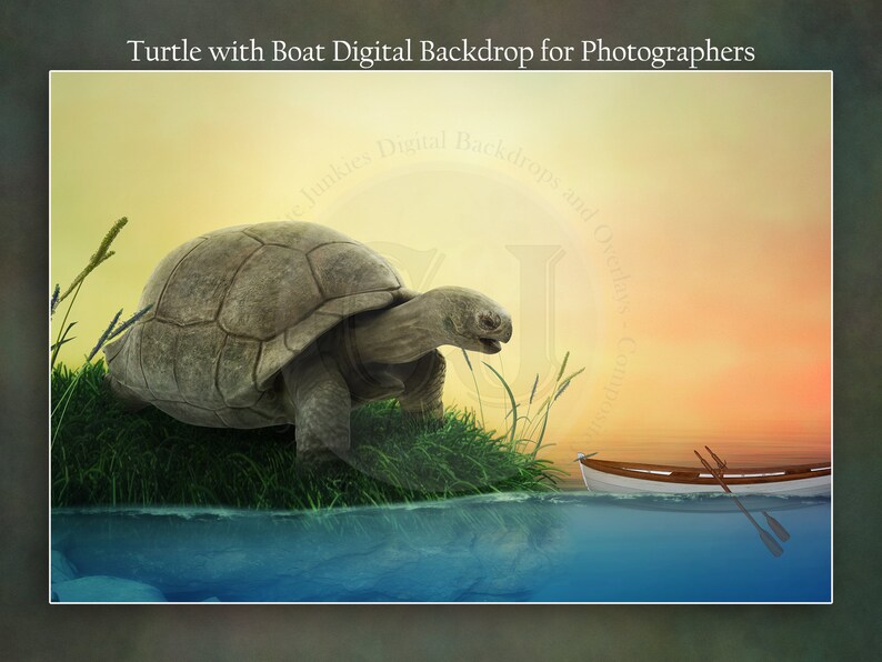 Turtle Digital Backdrop Turtle Background Instant Download - Etsy