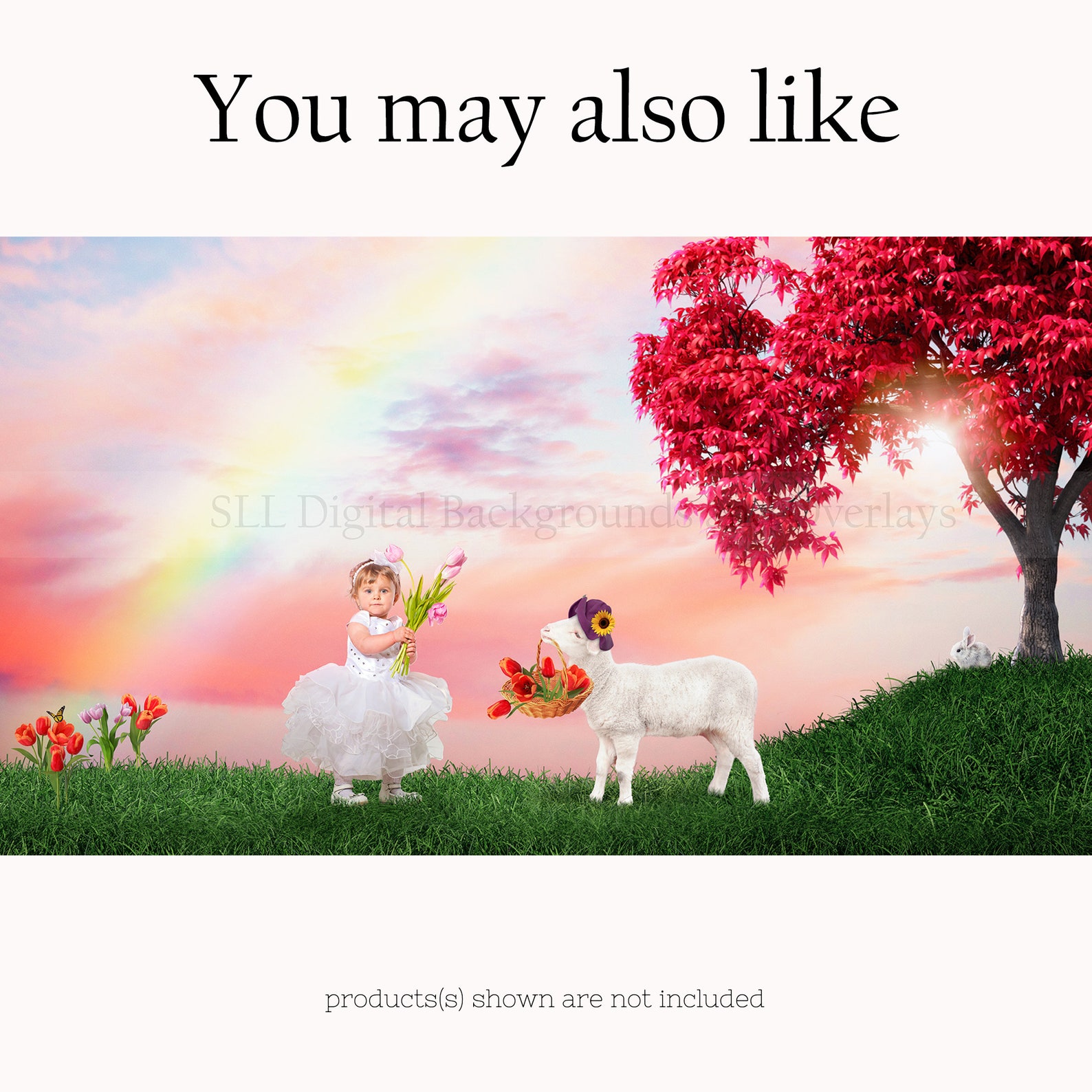 Counting Sheep Digital Background - Composite Image - Photoshop ...