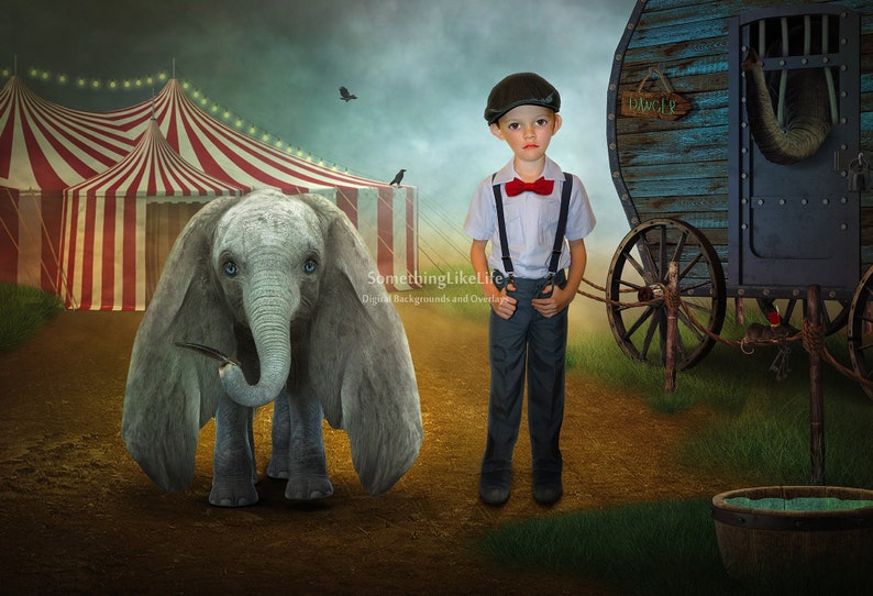 Circus Digital Backdrop Elephant Digital Background Circus - Etsy