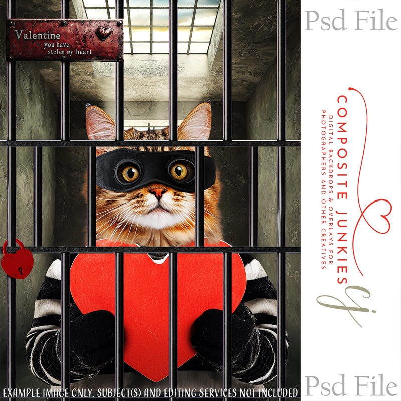 Valentines Card Jail - Etsy