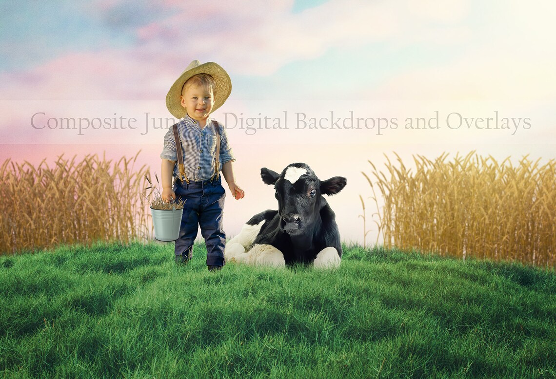 Baby Cow Laying in Grassy Field Digital Backdrop, Farm Animal Digital ...