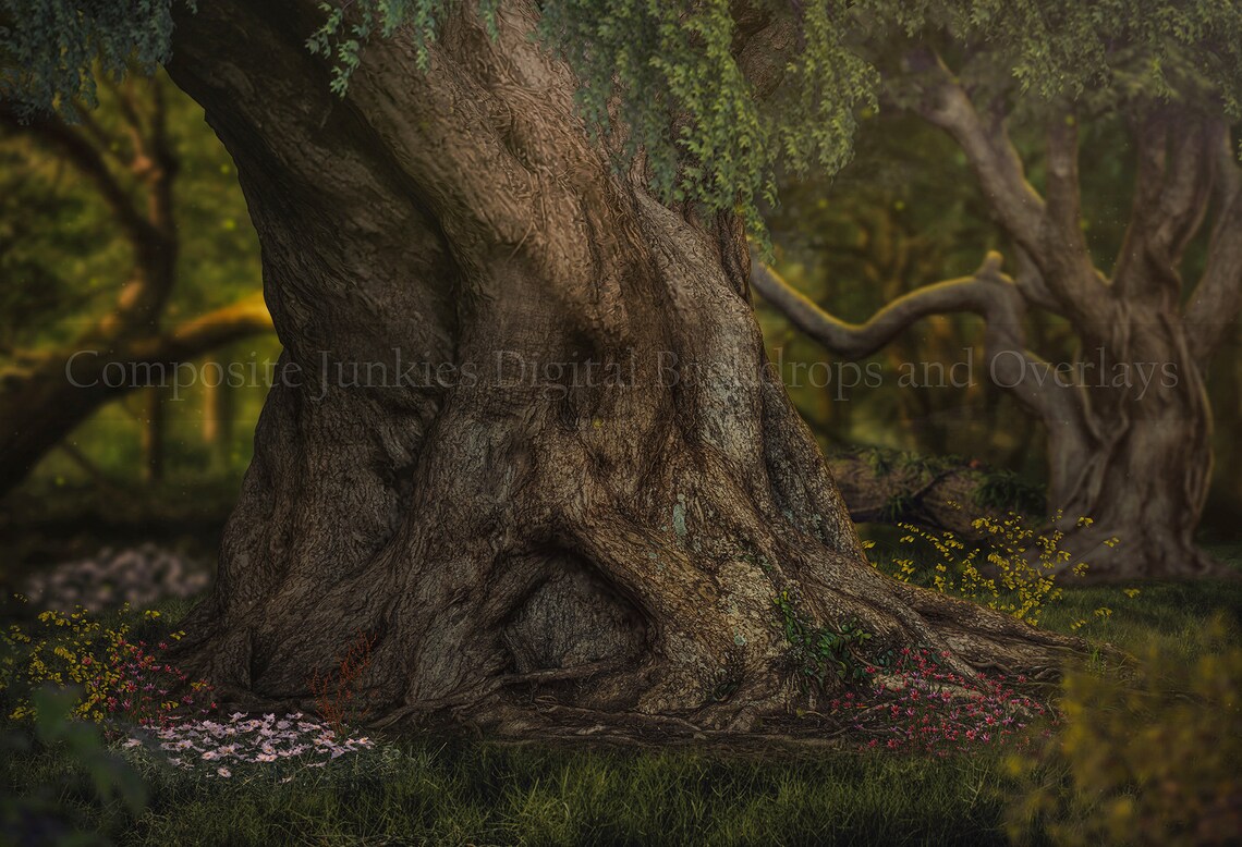 Tree Trunk in Magical Forest Digital Background Backdrop for | Etsy