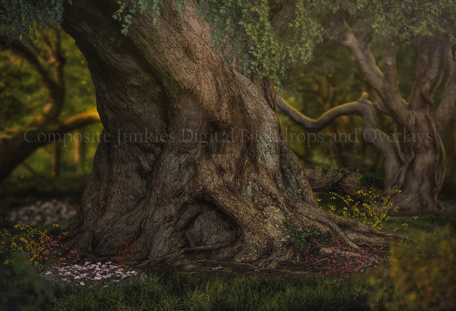 Tree Trunk in Magical Forest Digital Background Backdrop for | Etsy