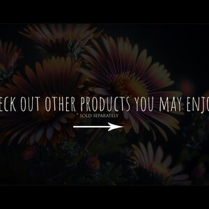 Christmas Tree Farm Bokeh Lights Digital Backdrop for Photo ...