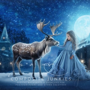 Christmas Tree Farm Bokeh Lights Digital Backdrop for Photo ...