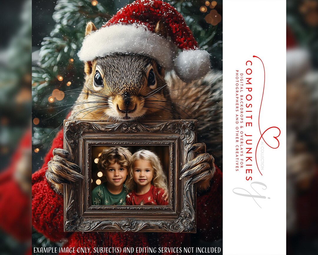 Squirrel Holding Frame Christmas Digital Backdrop Background, Holiday ...