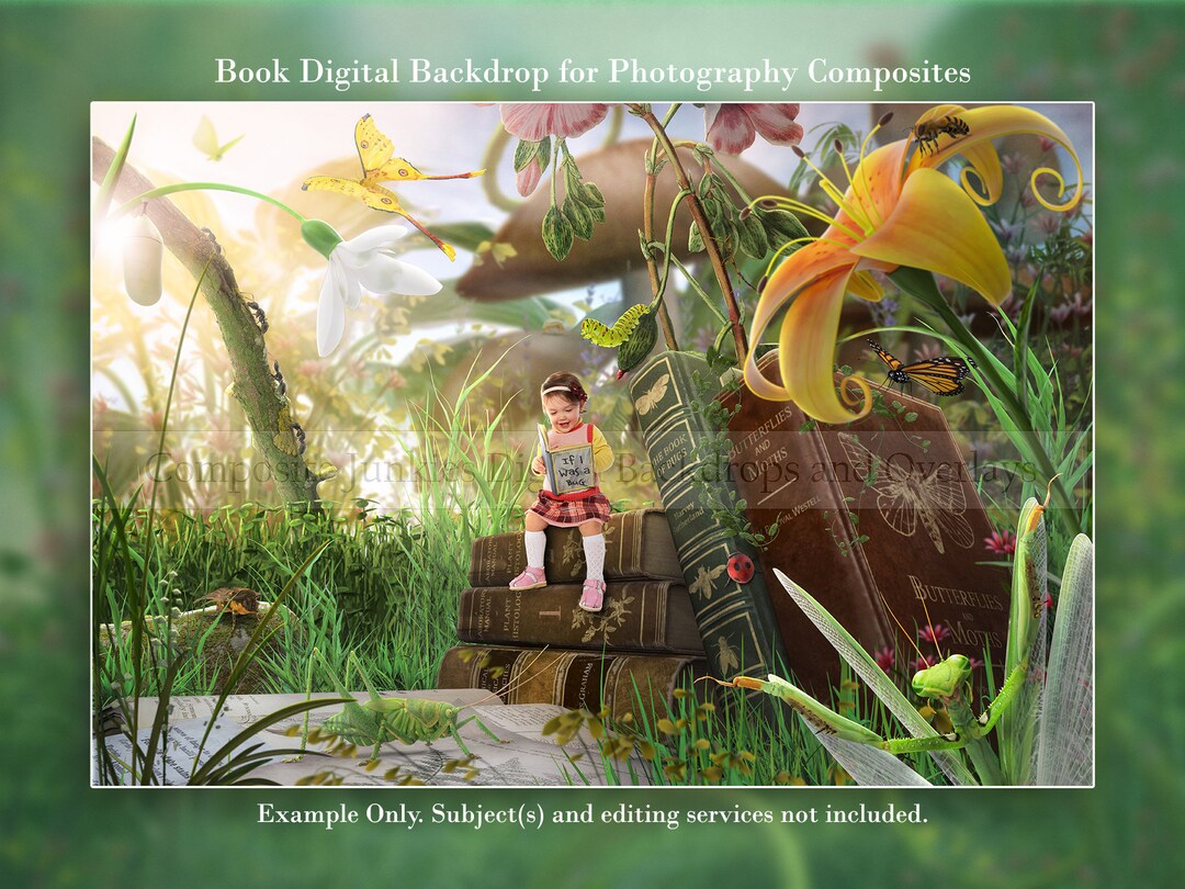 Reading Digital Backdrop Background for Photography Composites, Book ...
