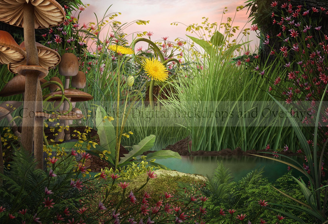 Fairy Digital Background Backdrop for Photo Composites, Digital ...