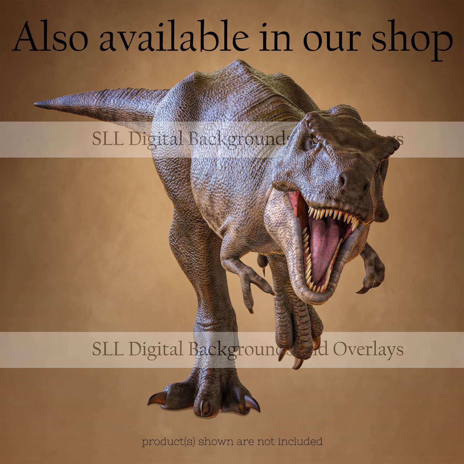 Dragon's Keep Digital Background Backdrop for Photography Composite ...