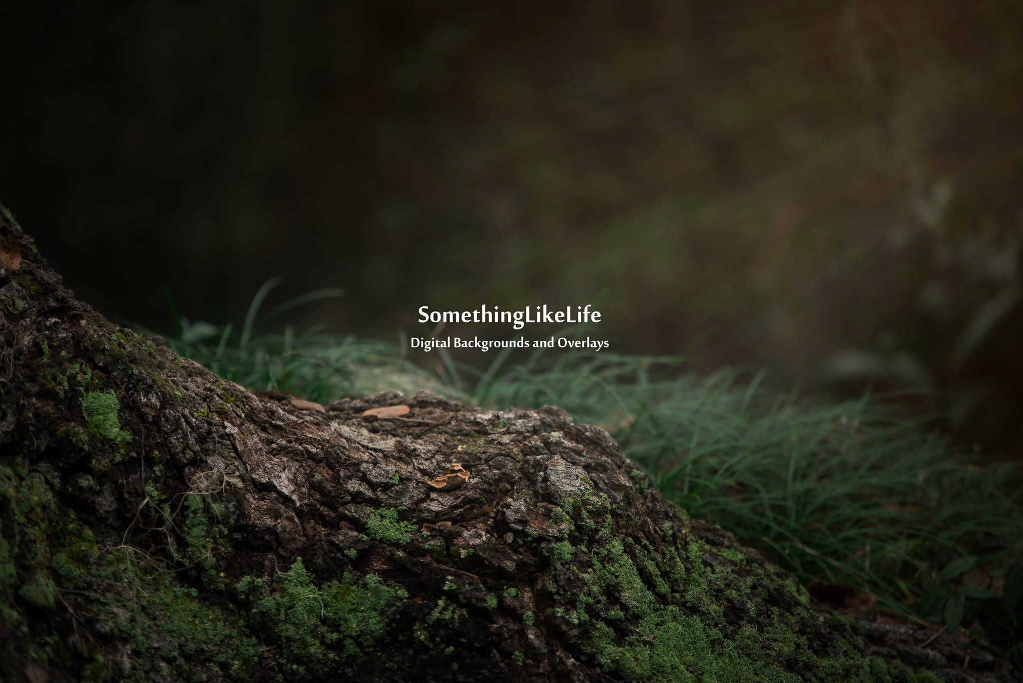 Tree Trunk Digital Background Nature Backdrop - Etsy