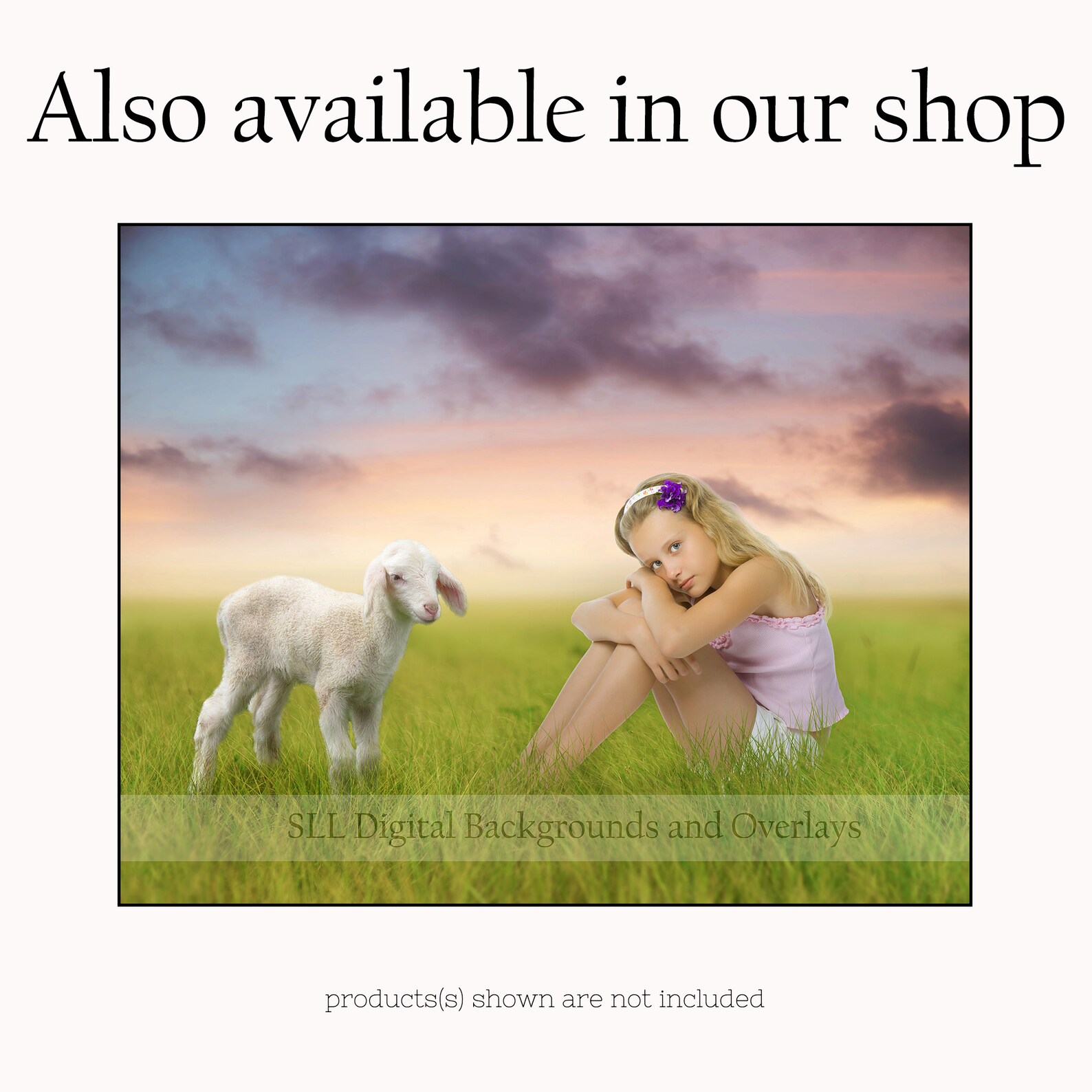 Counting Sheep Digital Background - Composite Image - Photoshop ...