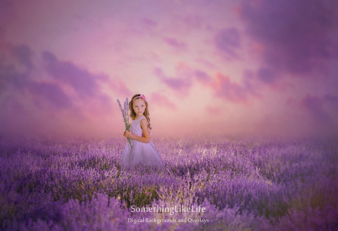 Lavender Field Digital Background | Flower Digital Backdrop | Purple ...