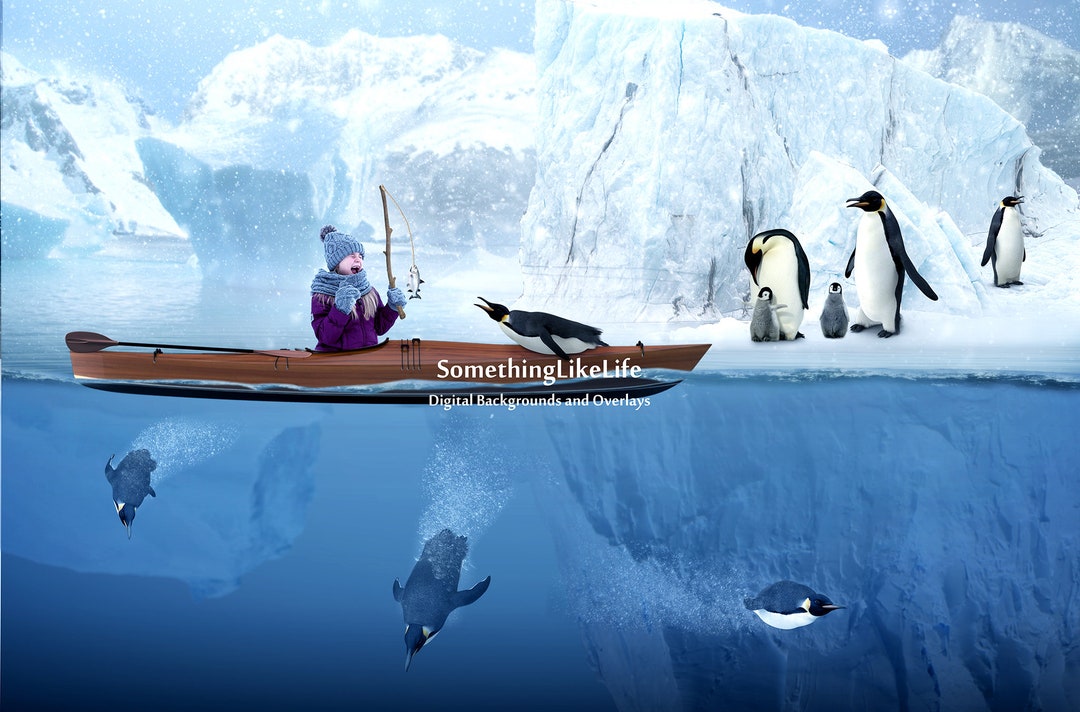 Penguin Digital Backdrop Background - Winterscape - Winter - Penguins ...