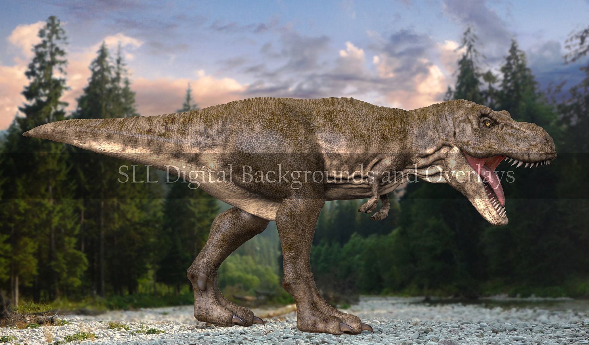 Dinosaur Digital Backdrop Background Trex Tyrannosaurus | Etsy