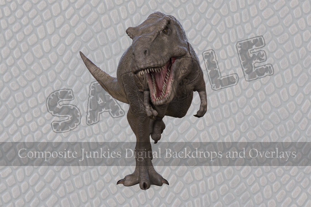 Tyrannosaurus Rex Overlay PNG - Dinosaur Overlay - Trex Png {PREMIUM ...
