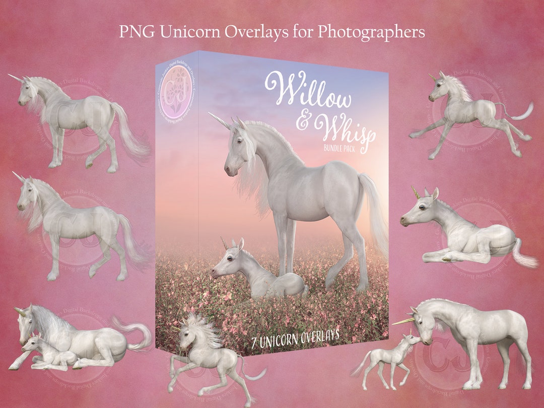 Png File, Overlays, Unicorn Overlays, Digital Download, Png Overlays ...