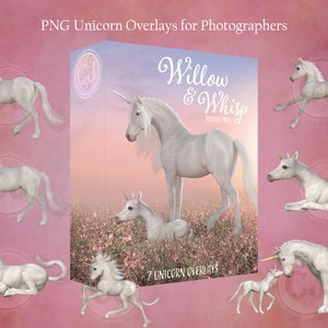 Png File, Overlays, Unicorn Overlays, Digital Download, Png Overlays ...