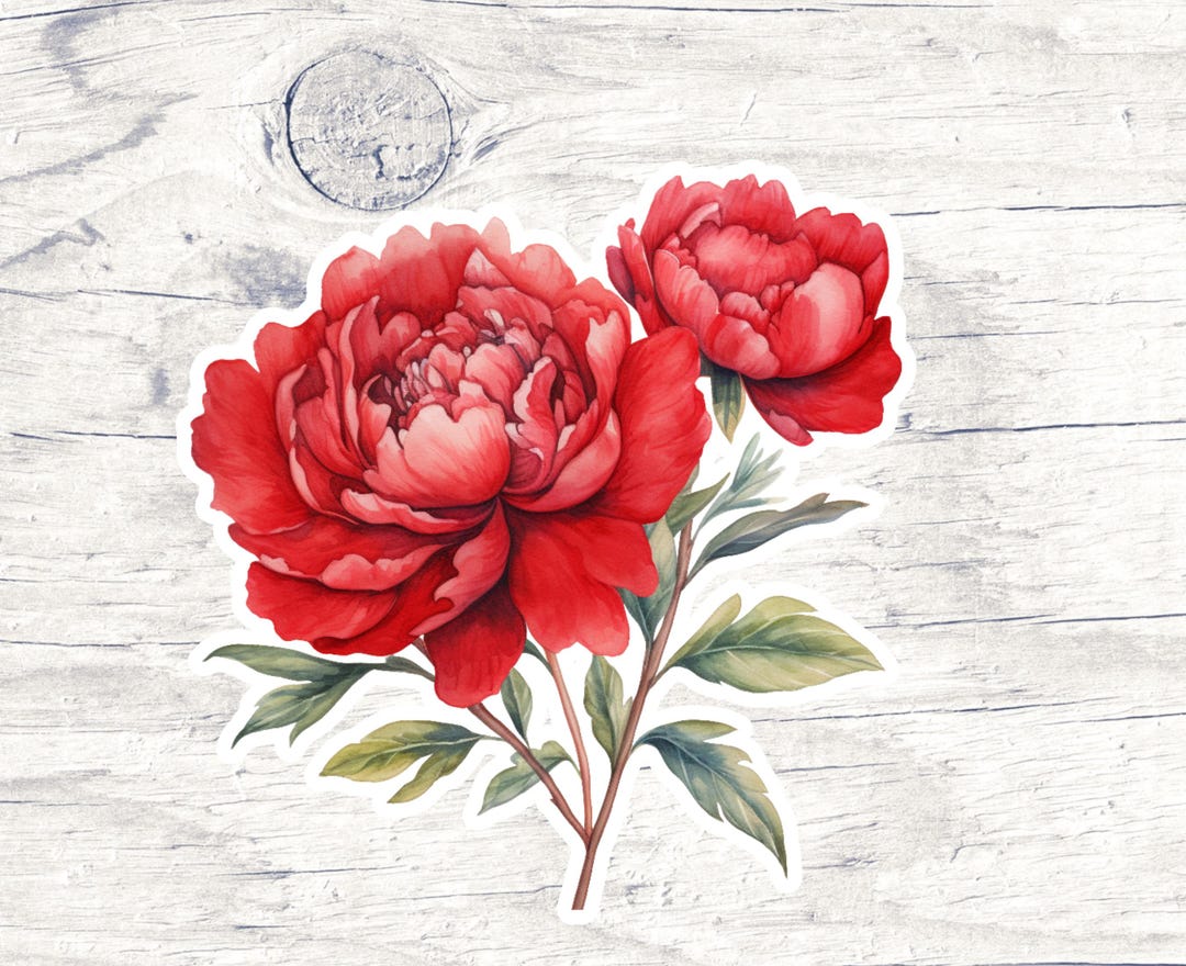Flower Iron on Transfer Peony Iron on Vinyl Heat Transfer Flower Iron ...