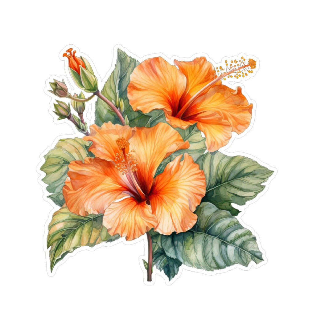 Flower Iron on Transfer Hibiscus Flowers Iron on Vinyl Heat Transfer ...