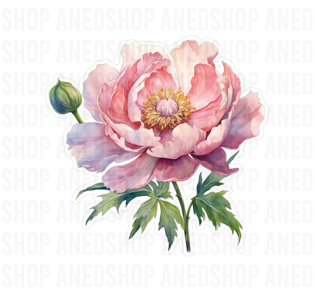 Flower Iron on Transfer Peonies Flower Heat Transfer Design Floral ...