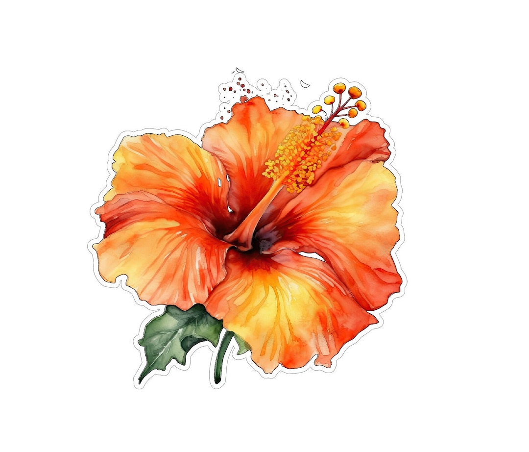 Flower Iron on Transfer Hibiscus Flowers Iron on Vinyl Heat Transfer ...