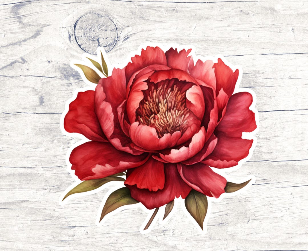 Flower Iron on Transfer Peony Iron on Vinyl Heat Transfer Flower Iron ...